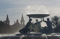 create : Collector Profile - Colnect