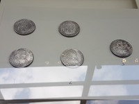 penato : Perfil del coleccionista - Colnect