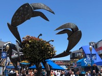 Maakaroun : Collector Profile - Colnect