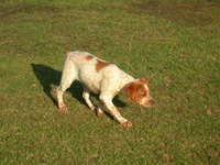 Gerard Daniel [ixoria33] : Профіль калекцыянэра - colnect