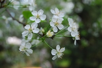 Jolanta Michałkiewicz [jolka] : Collector Profile - Colnect