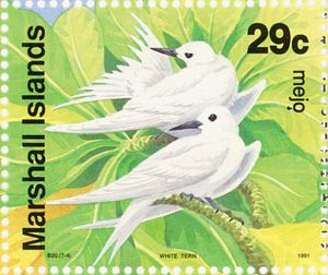 Stamp: White Tern (Gygis alba) (Marshall Islands(Seabirds 1991) Mi:MH ...