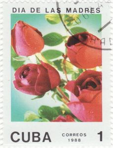 Stamp: Roses (Cuba(Mother's Day) Mi:CU 3166,Sn:CU 3010,Yt:CU 2833,Sg:CU ...