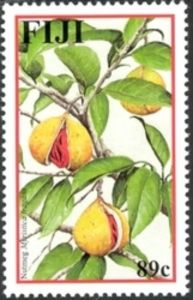 Stamp: Nutmeg (Myristica fragrans) (Fiji(Spices) Mi:FJ 997,Sn:FJ 943,Yt ...