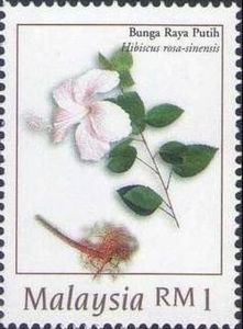 Stamp: Hibiscus rosa sinensis (Malaysia(Medicinal Plants) Mi:MY 698A,Sn ...
