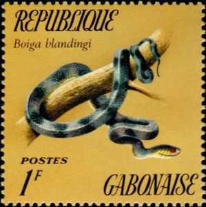 Timbre: Blandings Tree Snake (Boiga blandingi) (Gabon(Snakes 1972) Mi ...