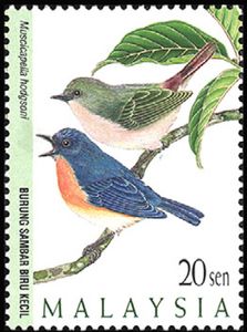 Stamp: Pygmy Flycatcher (Muscicapella hodgsoni) (Malaysia(Highland ...