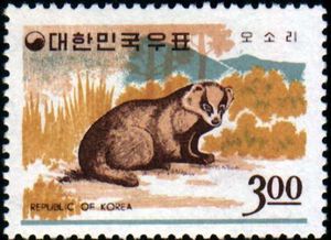 切手: Asian Badger (Meles leucurus) (大韓民国(Fauna (1966)) Mi:KR 567,Sn:KR ...