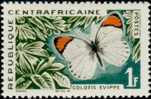 Stamp: Orange-tip Butterfly (Colotis evippe) (Central African Republic ...