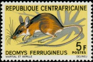 切手: Congo Forest Rat (Deomys ferrugineus) (中央アフリカ共和国(Flora and Fauna ...