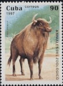 Stamp: European Bison (Bos bonasus) (Cuba(Animals from the zoo) Mi:CU ...