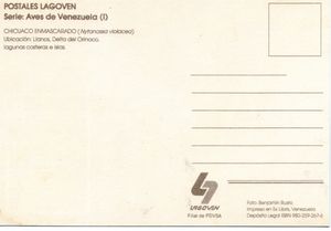 Tarjeta Postal: CHICUACO ENMASCARADO (Nytanassa violacea) (Venezuela ...