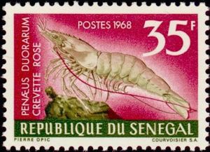 Stamp: Northern Pink Shrimp (Farfantepenaeus duorarum) (Senegal ...