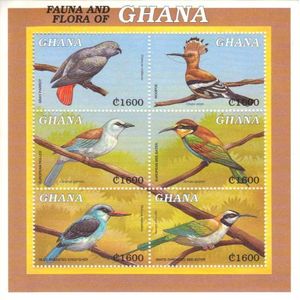 Fauna Y Flora De Ghana Ghana: Hands Off Of Endangered Rosewood!