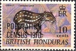 Stamp: Gibnut (Cuniculus paca) - Overprinted (British Honduras ...