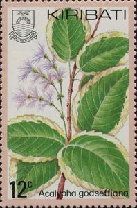 Stamp: Copperleaf (Acalypha godseffiana) (Kiribati(Kiribati Flowers) Mi ...