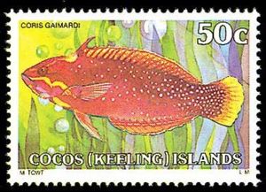 Stamp: African Clown Wrasse (Coris gaimardi) (Cocos (Keeling) Islands ...