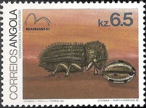 Stamp: Coffee Berry Borer (Stephanoderes hampei) (Angola(International ...