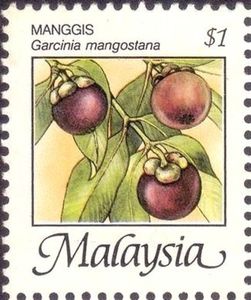 Stamp: Mangosteen (Garcinia mangostana) (Malaysia(Tropical Fruits (1986 ...