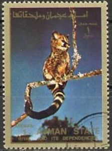 Stamp: Giant forest genet (Genetta victoriae) (Ajman(Mammals, large ...