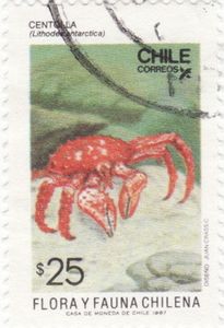 Stamp: Southern King Crab (Lithodes antarctica) (Chile(Flora and Fauna ...