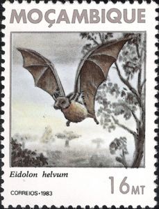 Stamp: African Straw-coloured Fruit Bat (Eidolon helvum) (Mozambique ...