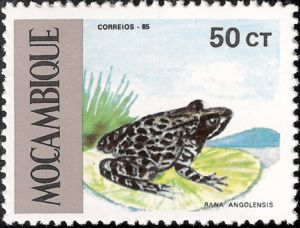 Stamp: Angola River Frog (Rana angolensis) (Mozambique) (Frogs (1985 ...