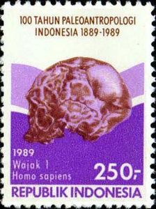 Stamp: Skull of “Wajuk 1” (Indonesia(Centenary of Palaeoanthropology in ...