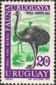 Stamp: Greater Rhea (Rhea americana) (Uruguay(Uruguayan fauna) Mi:UY ...