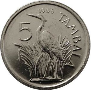 Coin: 5 Tambala (Malawi) (1971~Today - Circulation (Kwacha)) WCC:km32.1