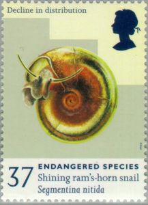 Stamp: Shining Ram's-horn Snail (Segmentina nitida) (United Kingdom of ...