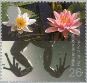 Stamp: Frog's Legs and Water Lilies (National Pondlife Centre) (United ...