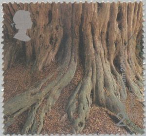 Stamp: Tree Roots ("Yews for the Millennium" Project) (United Kingdom ...
