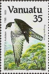 Stamp: Peregrine Falcon (Falco peregrinus) (Vanuatu(200th Birthday of J ...
