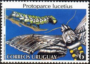 Stamp: Moth (Protoparce lucetius) (Uruguay) (Butterflies (1998)) Mi:UY ...