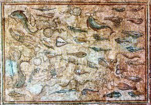 Postcard: Mosaic with fish, Archaeological Museum, Tarragona (Spain ...