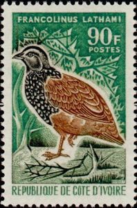 Stamp: Forest Francolin (Francolinus lathami) (Ivory Coast(Birds 1966 ...