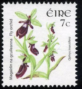 Stamp: Fly Orchid (Ophrys insectifera) (Ireland(Wild Flowers ...