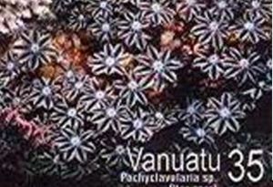 Stamp: Green Star Polyp (Pachyclavularia sp.) (Vanuatu(Corals) Mi:VU ...