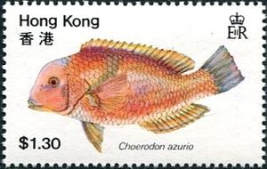 Stamp: Azurio Tuskfish (Choerodon azurio) (Hong Kong(Fish (1981)) Mi:HK ...