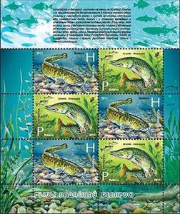 Stamp: Fauna of Belarus - Reservoir Fish (2011) (Belarus(Fauna of ...