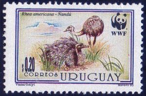 Stamp: Greater Rhea (Rhea americana) (Uruguay(WWF - Greater Rhea) Mi:UY ...