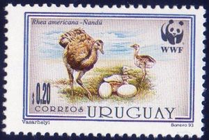 Stamp: Greater Rhea (Rhea americana), eggs (Uruguay(WWF - Greater Rhea ...