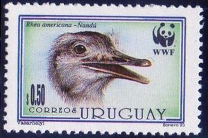Stamp: Greater Rhea´s Head (Rhea americana) (Uruguay(WWF - Greater Rhea ...