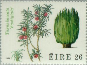 Stamp: Common Yew (Taxus baccata) (Ireland) (Irish Trees) Mi:IE 533,Sn ...