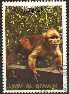 Stamp: Titi (Callicebinae) (Umm al-Qiwain(Animals (I), large format) Mi ...