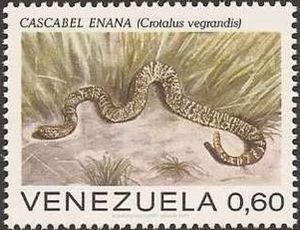 Stamp: Uracoan Rattlesnake (Crotalus vegrandis) (Venezuela(Snakes) Mi ...