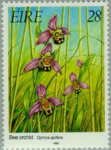 Stamp: Bee Orchid (Ophrys apifera) (Ireland(Irish Orchids) Mi:IE 821,Sn ...