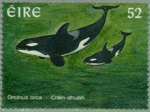 Stamp: Killer Whale (Orcinus orca) (Ireland(Marine Mammals) Mi:IE 992 ...