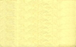 Banknote: 100 Ticals (Thailand(1902-1925 Issue) Wor:P-12a.3 💴